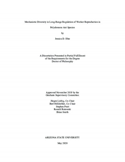 Mechanistic Diversity in Long-Range Regulation of Worker Reproduction ...